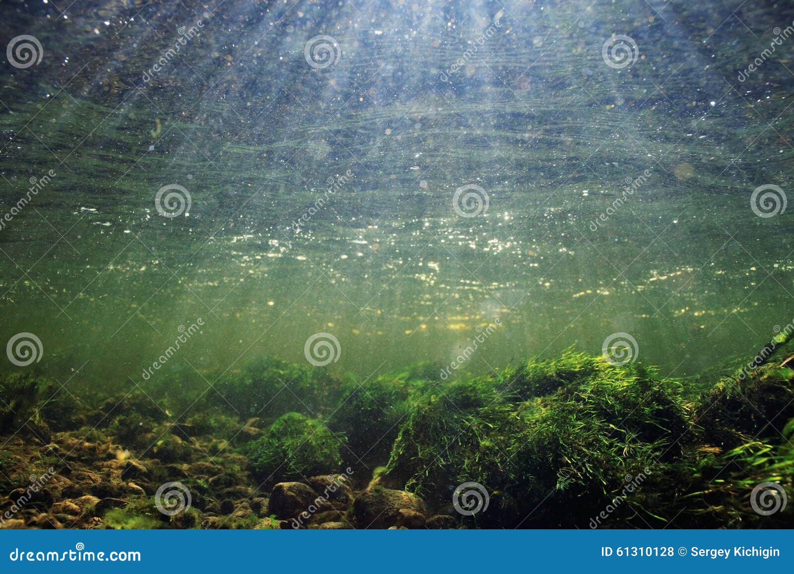 Scenery Under Clear River Water Stock Photo - Image of movement, light ...
