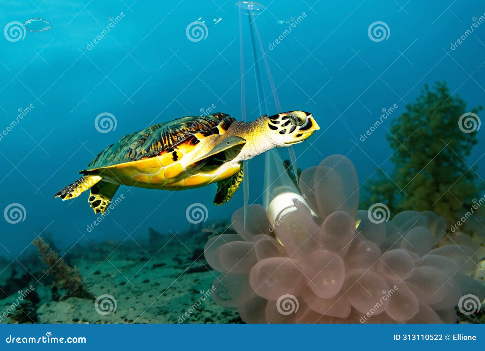 Scenery of Underwater Life with Turtle. Stock Illustration ...