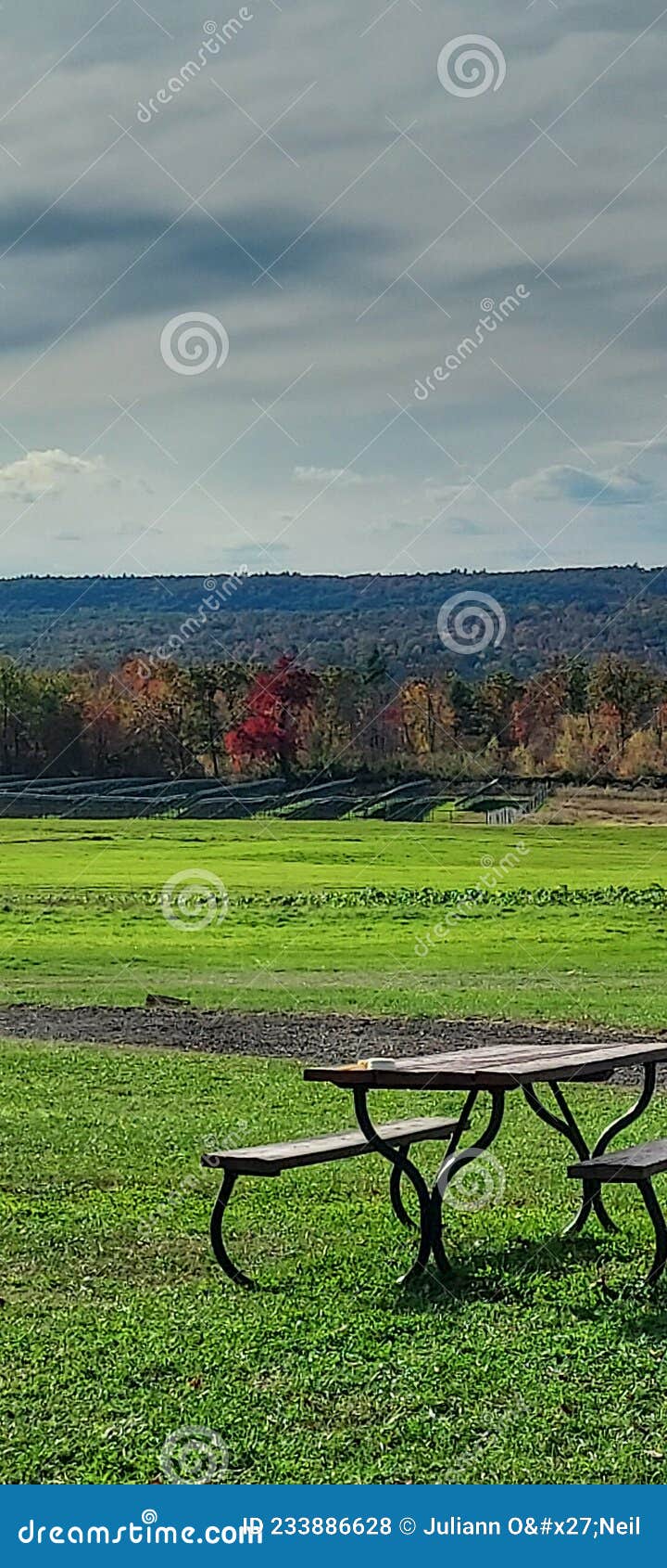 Scenery view from afar stock photo. Image of wall, wood - 233886628