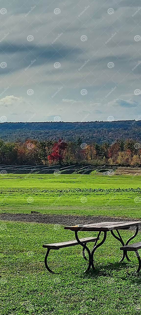 Scenery view from afar stock photo. Image of wall, wood - 233886628