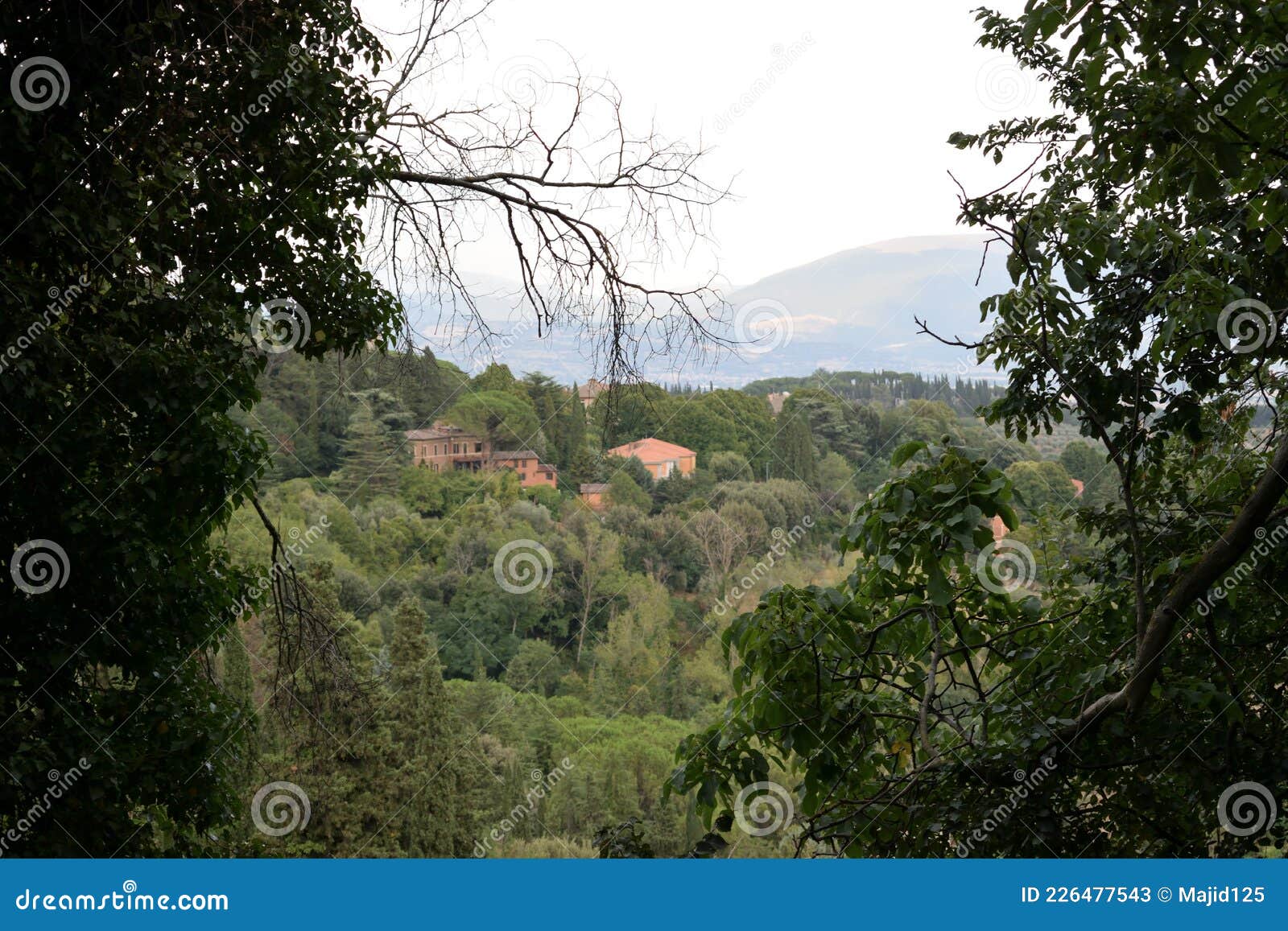 Scenery View of Old Houses in Forest Stock Image - Image of ...