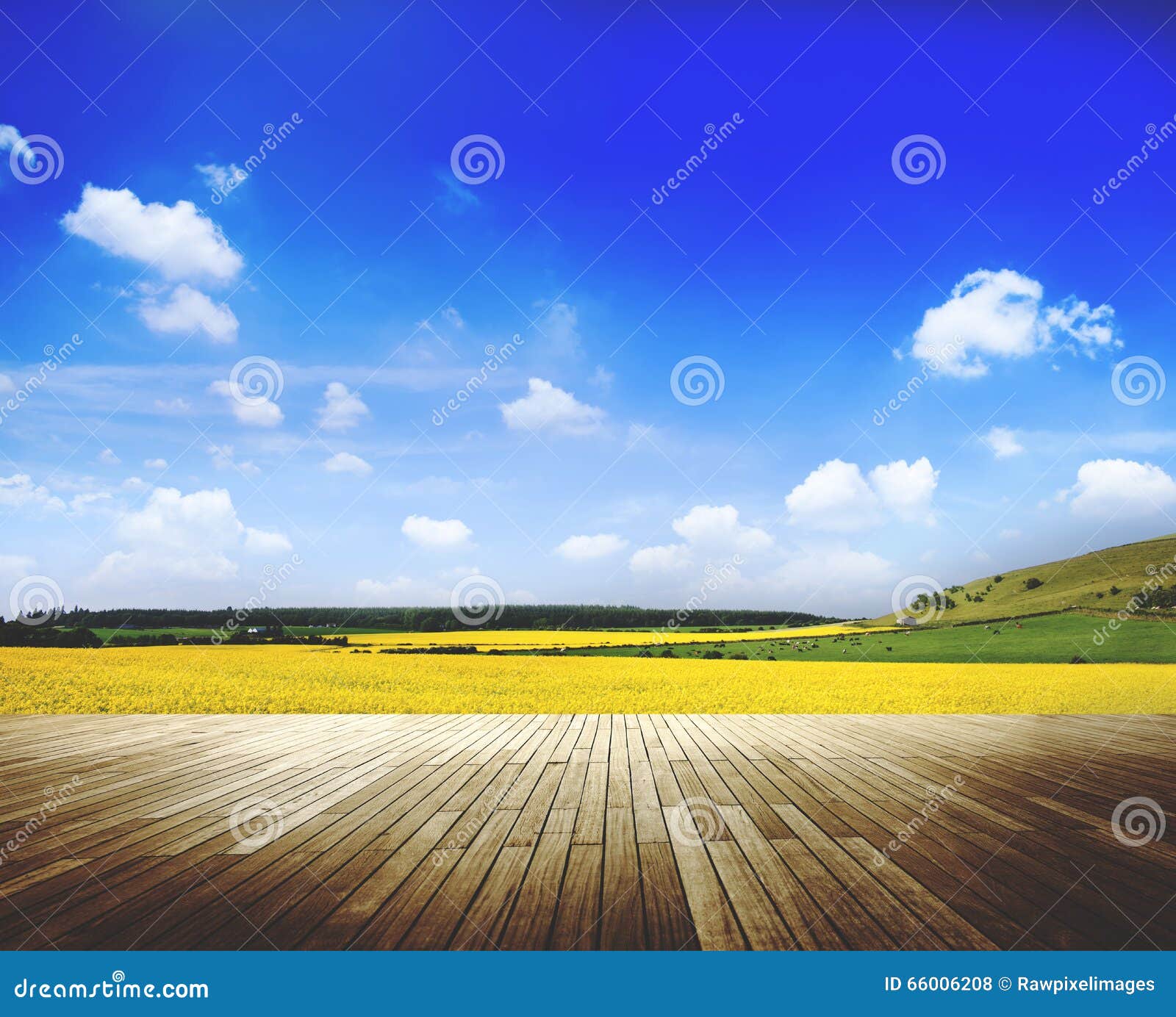 Beautiful Farm Scenery