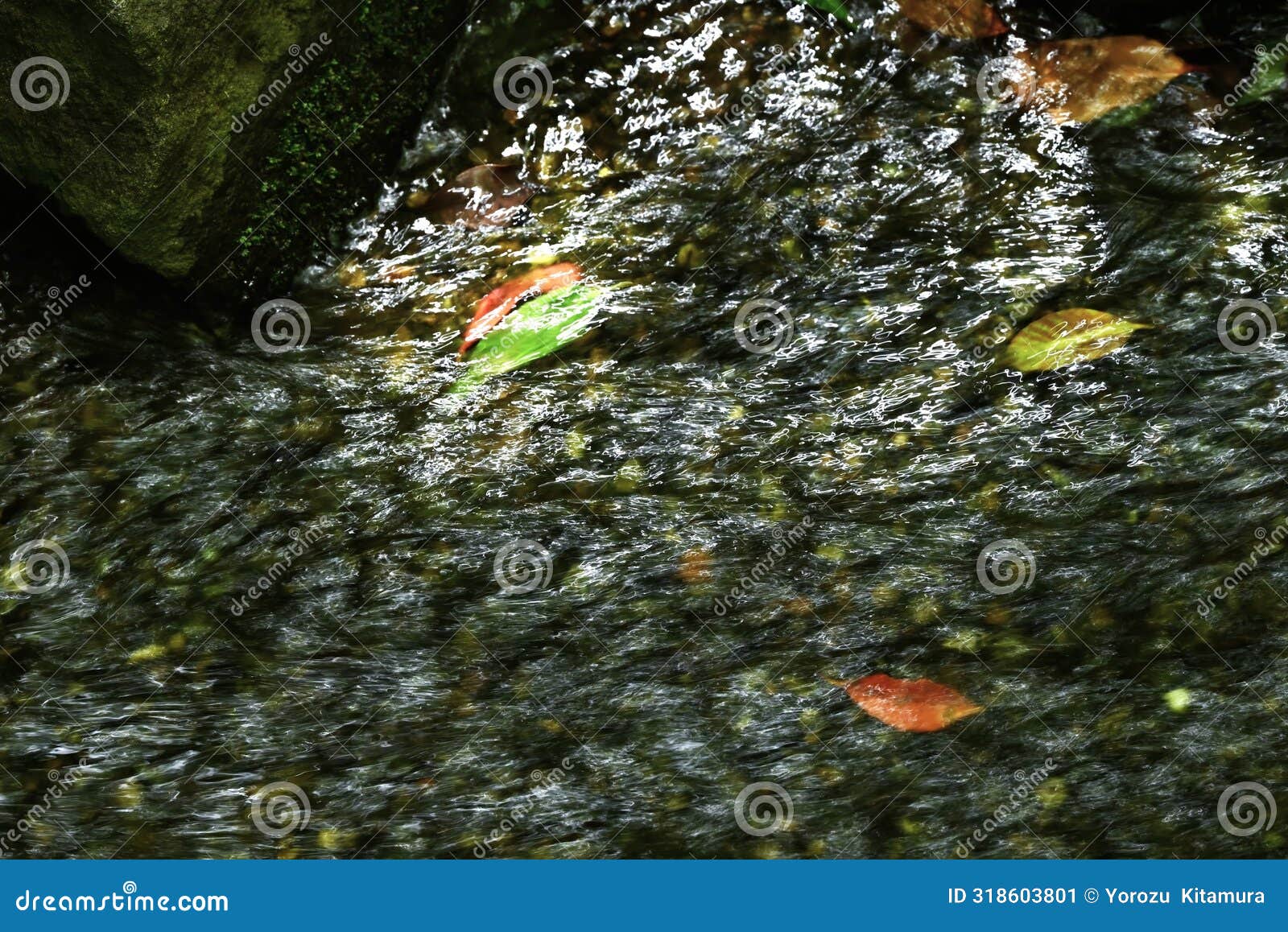 Scenery of Water Flowing from a Small Waterfall. Waterfall Background ...
