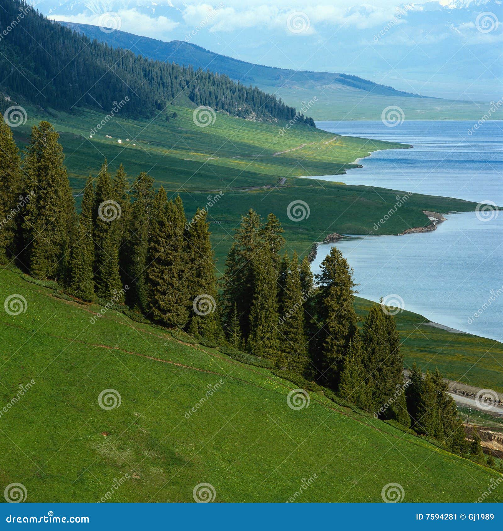 Scenery of xinjiang china stock image. Image of yili, tree - 7594281