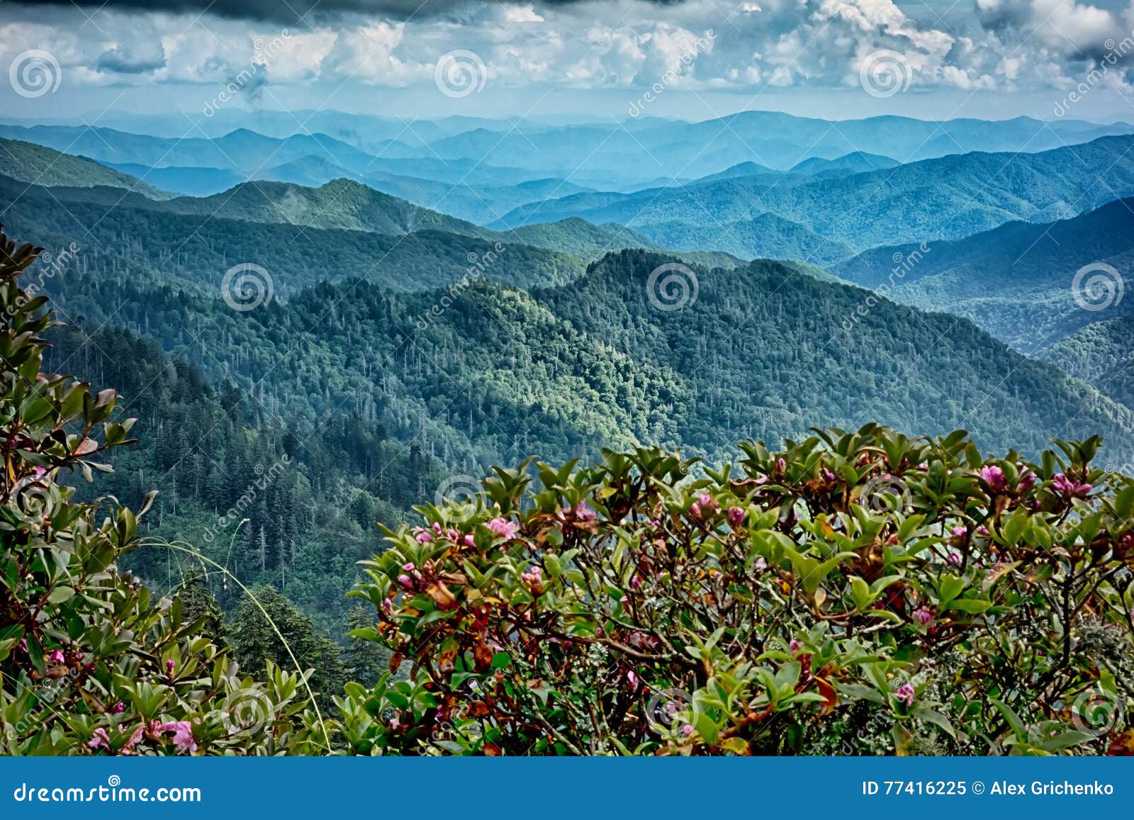 Scenes Along Appalachian Trail in Great Smoky Mountains Stock Image ...