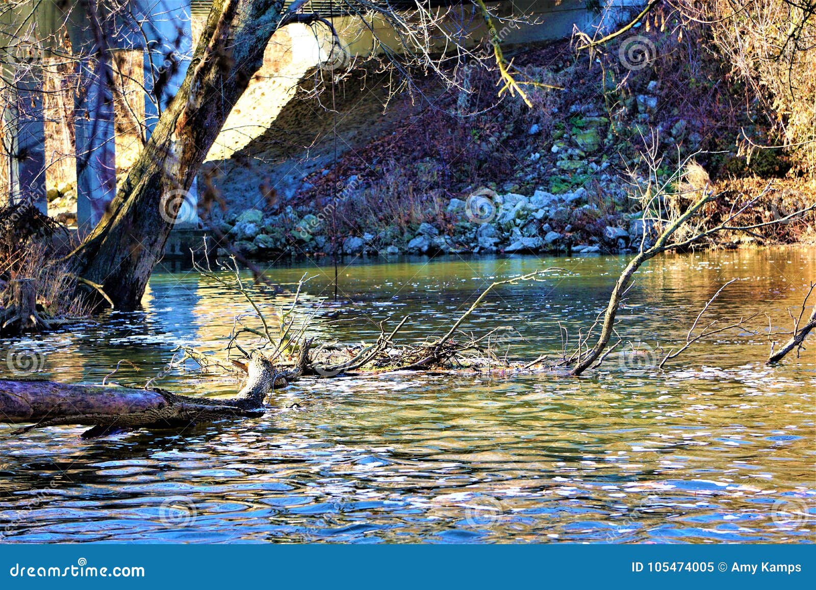 Scenes from the Hamilton Dam on the Rabbit River, Hamilton MI Stock ...