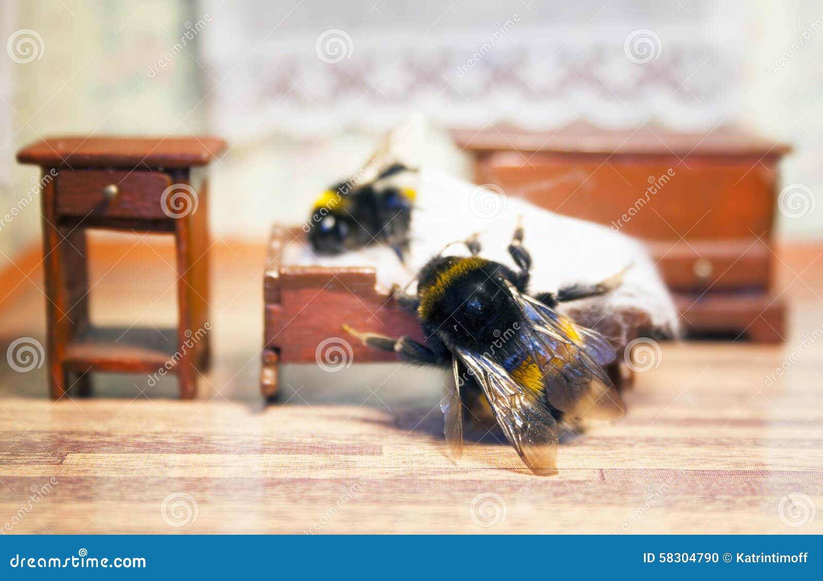Scenes from the Life of Bumblebee Family. Stock Photo - Image of ...