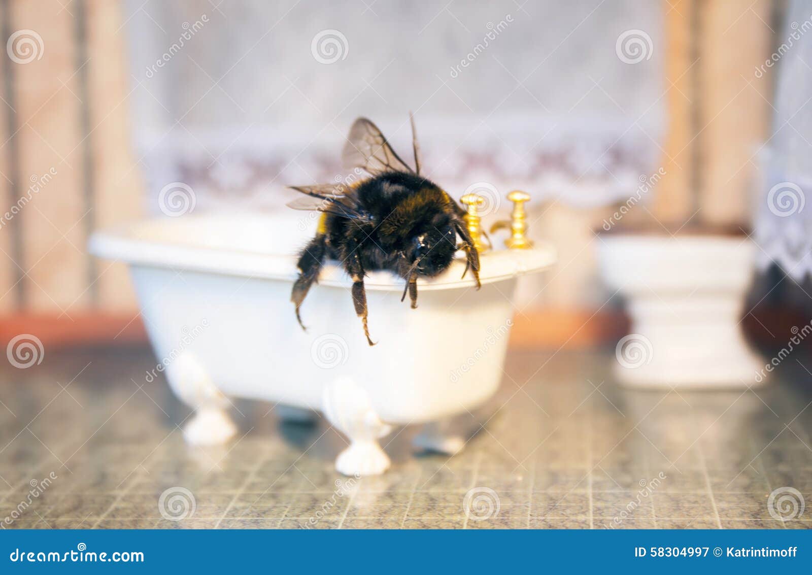 Scenes from the Life of Bumblebee Family. Stock Image - Image of ...