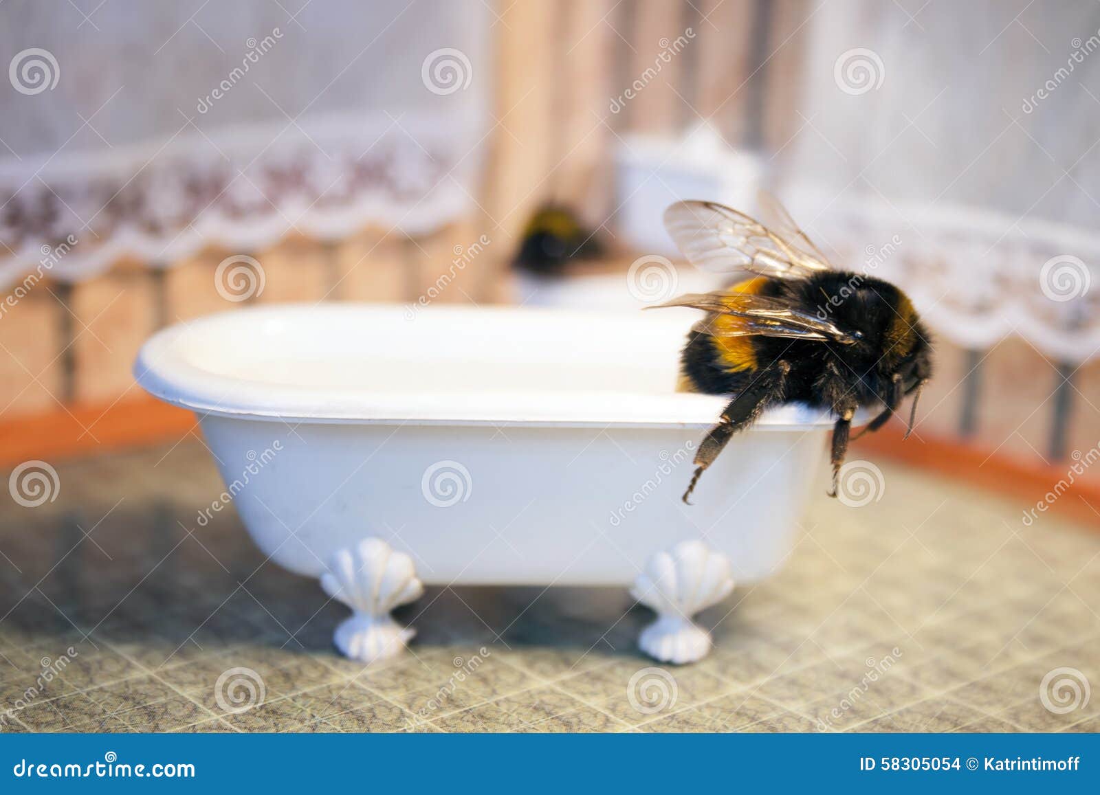 Scenes from the Life of Bumblebee Family. Stock Photo - Image of family ...