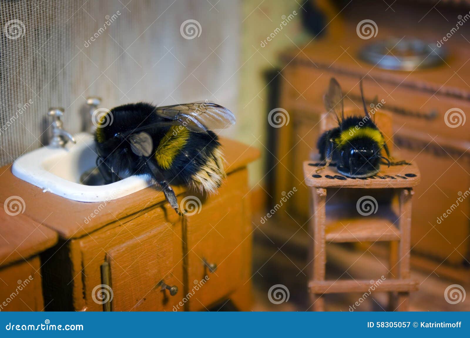 Scenes from the Life of Bumblebee Family. Stock Image - Image of close ...
