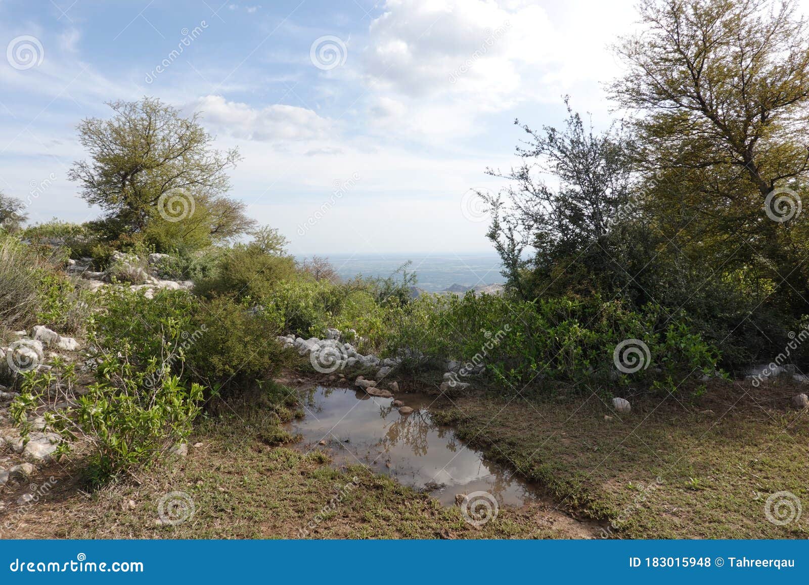 Scenes after rain stock photo. Image of forest, pond - 183015948
