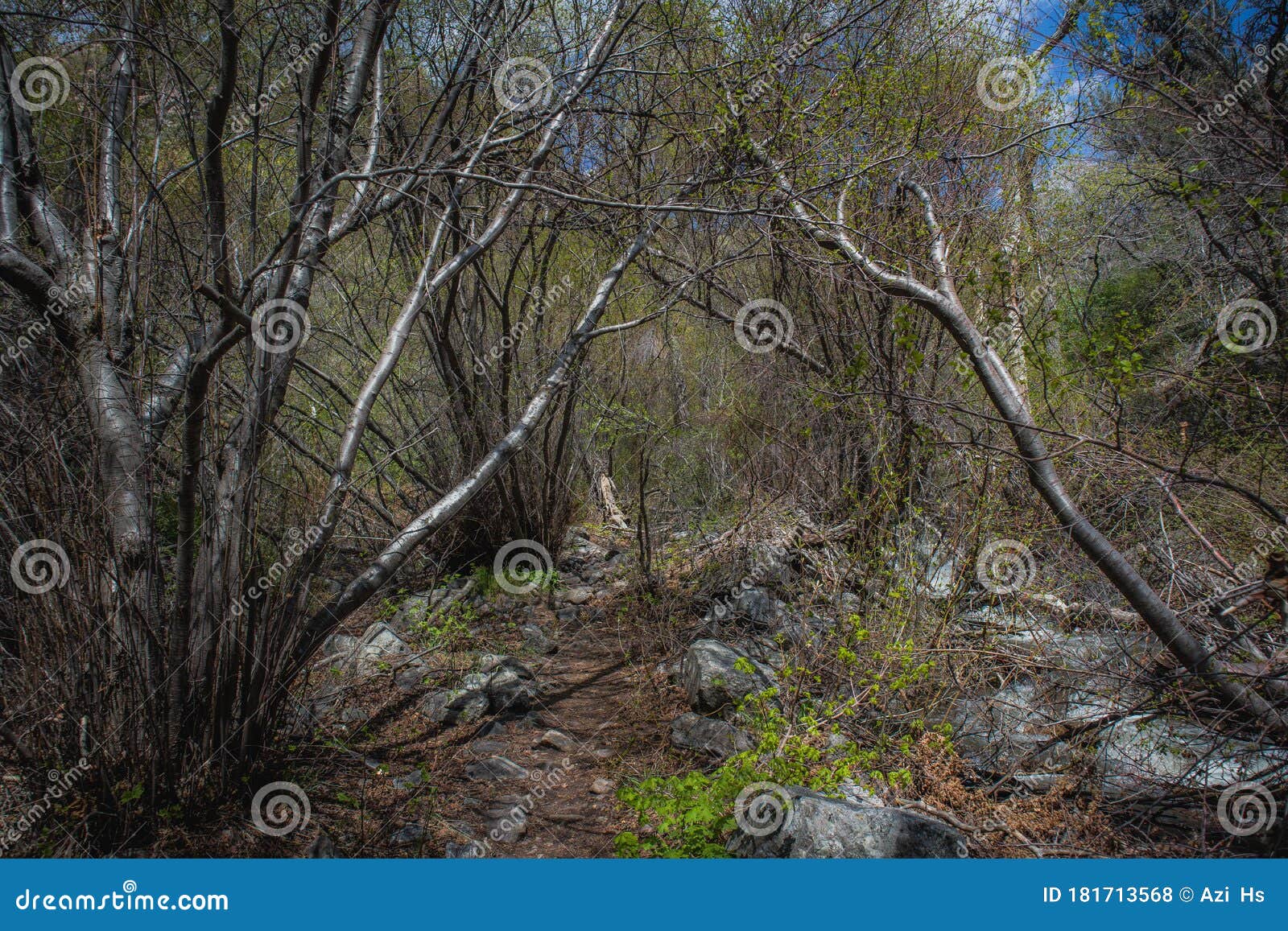 Scenes from a Trail in Northern Utah in Spring Stock Photo - Image of ...
