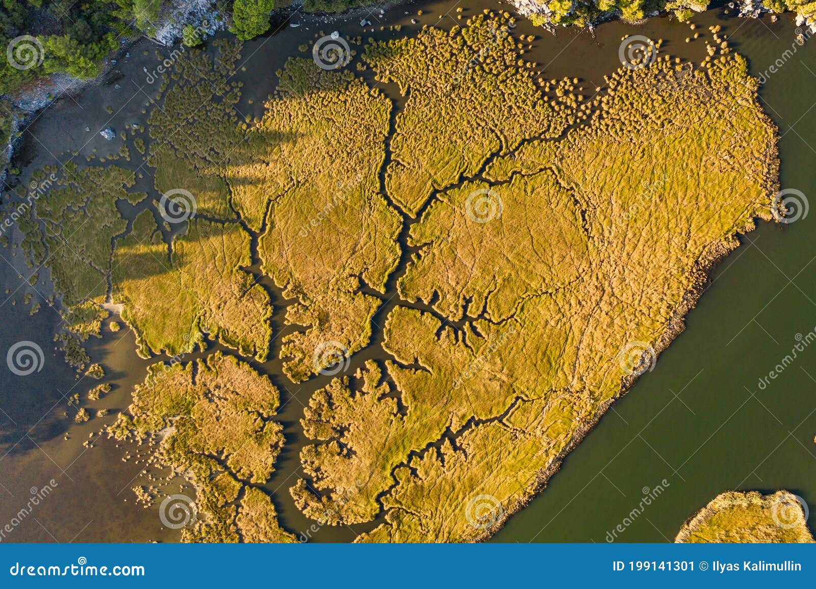 Scenic Aerial View of Branch Pattern on Water Surface Stock Image ...
