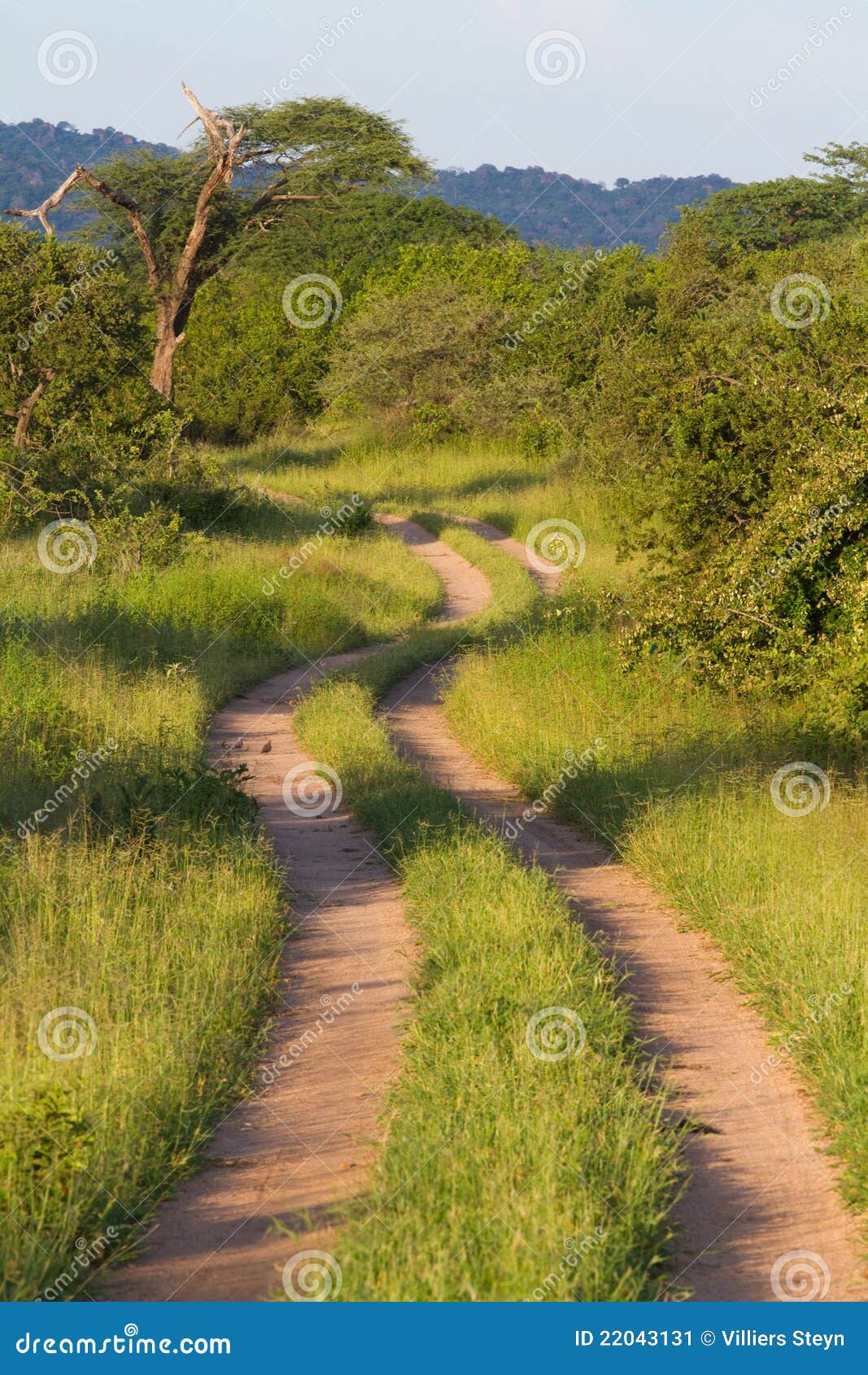 Scenic africa road stock image. Image of colourful, summer - 22043131