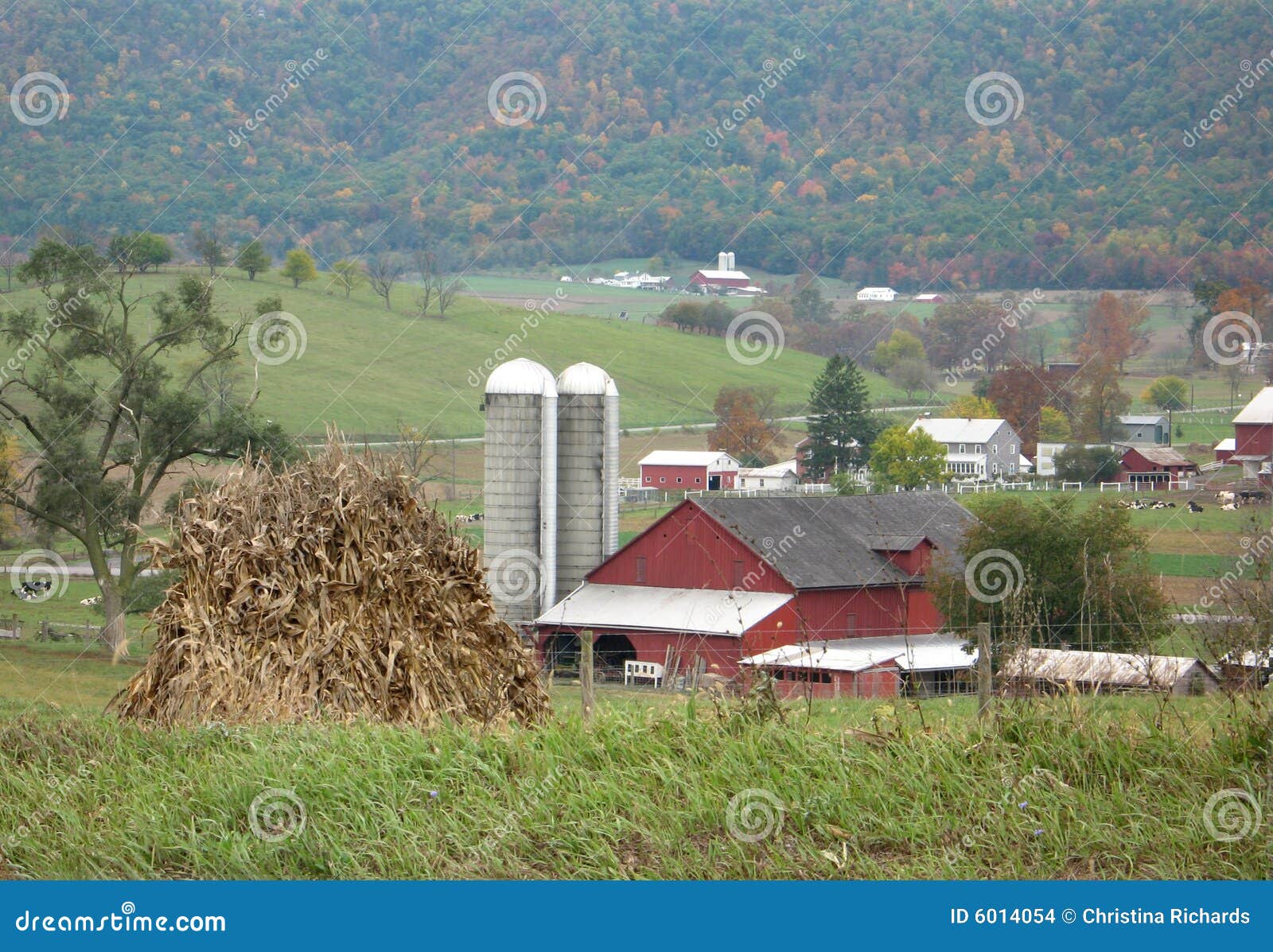 Scenic Amish farm stock photo. Image of lifestyle, countryside - 6014054