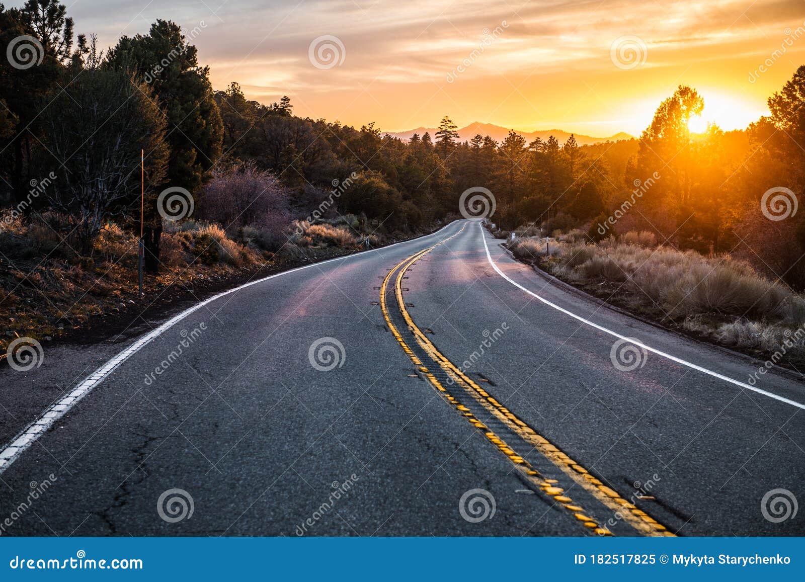 Scenic Asphalt Country Road at Sunset Time in the Forest. Stock Image ...