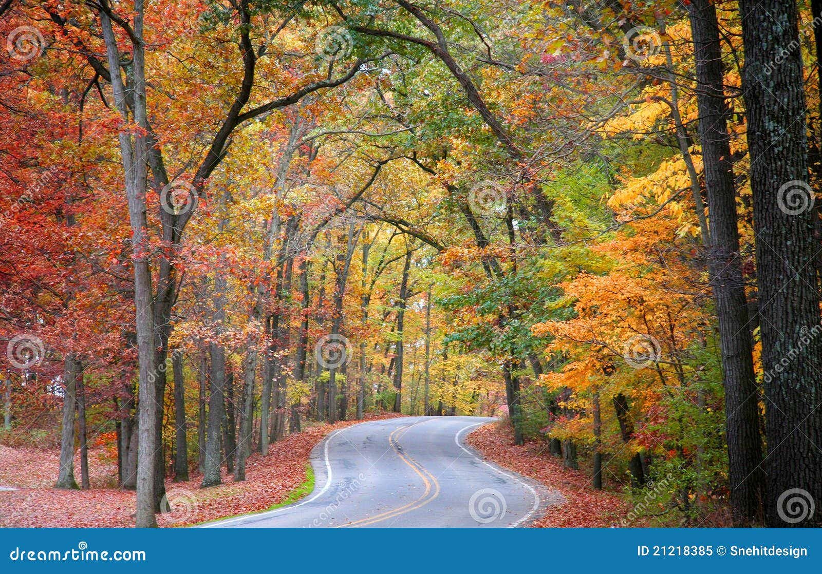 Scenic autumn drive stock image. Image of bright, autumn - 21218385