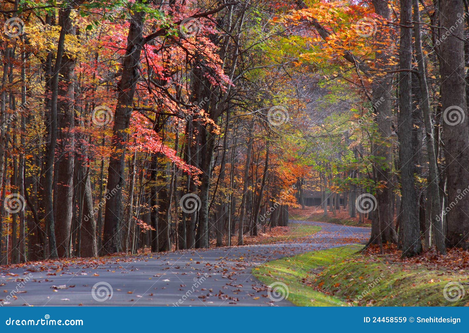 Scenic autumn drive stock image. Image of season, nature - 24458559