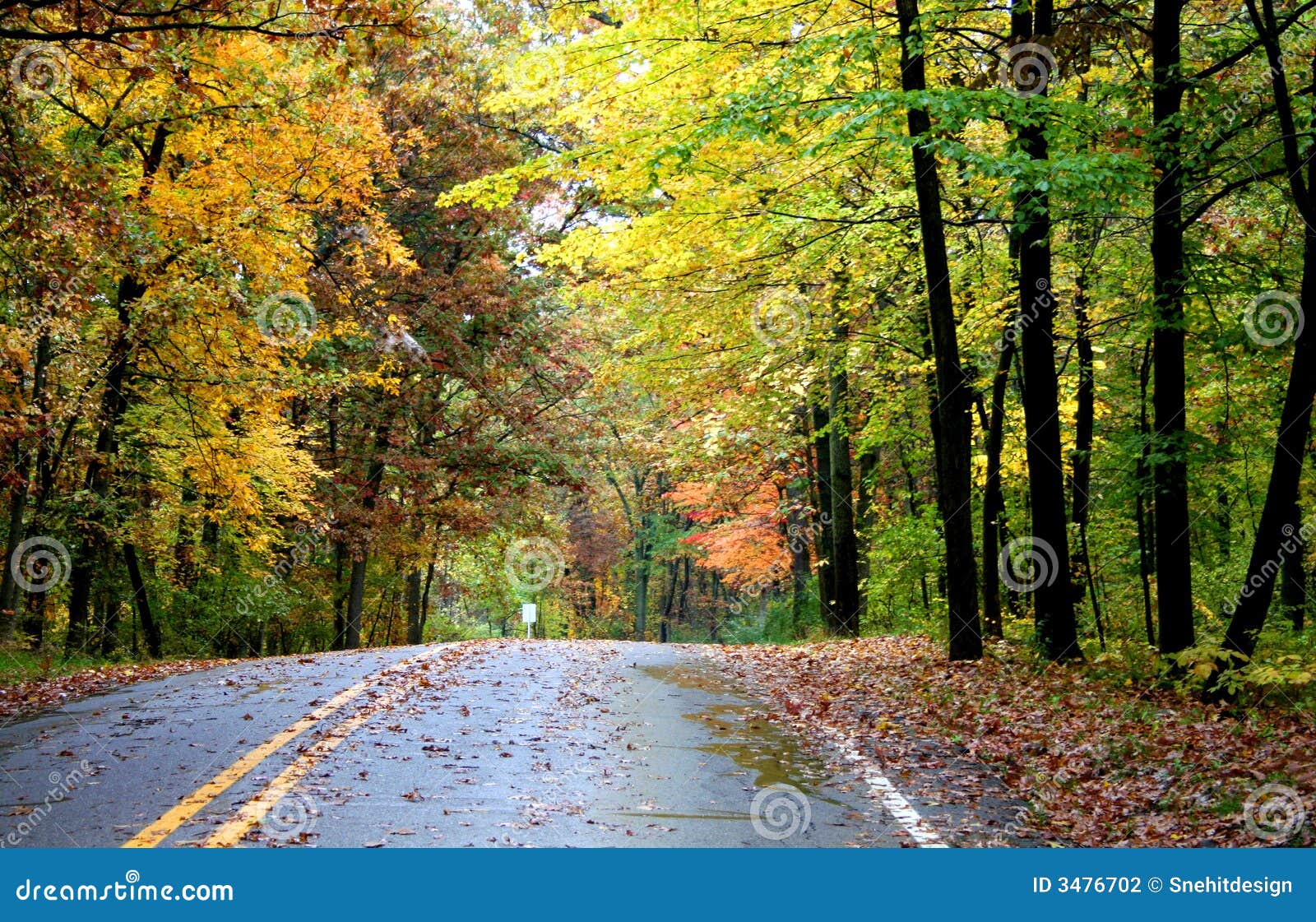 Scenic Autumn Drive stock photo. Image of mountains, growth - 3476702