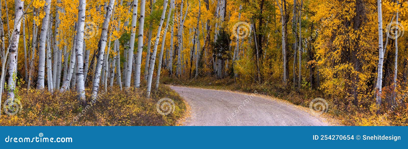 Scenic Autumn Drive in Uinta Wasatch Cache National Forest in Utah ...