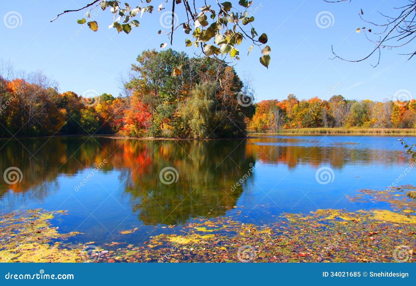 Scenic autumn lake stock image. Image of peaceful, dawn - 34021685
