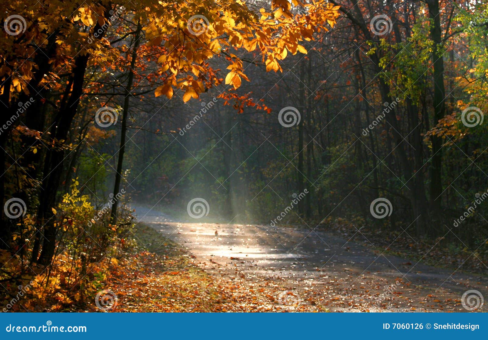 Scenic Autumn Time stock photo. Image of foggy, scenery - 7060126