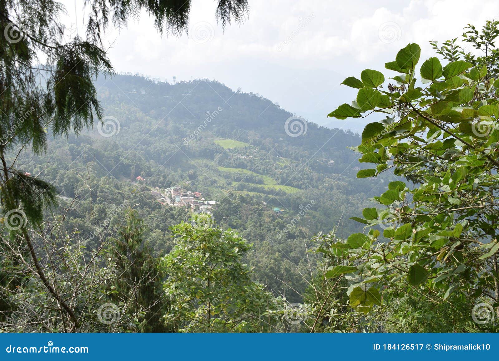 Scenic Beauty of East Sikkim Stock Image - Image of trees, outdoors ...