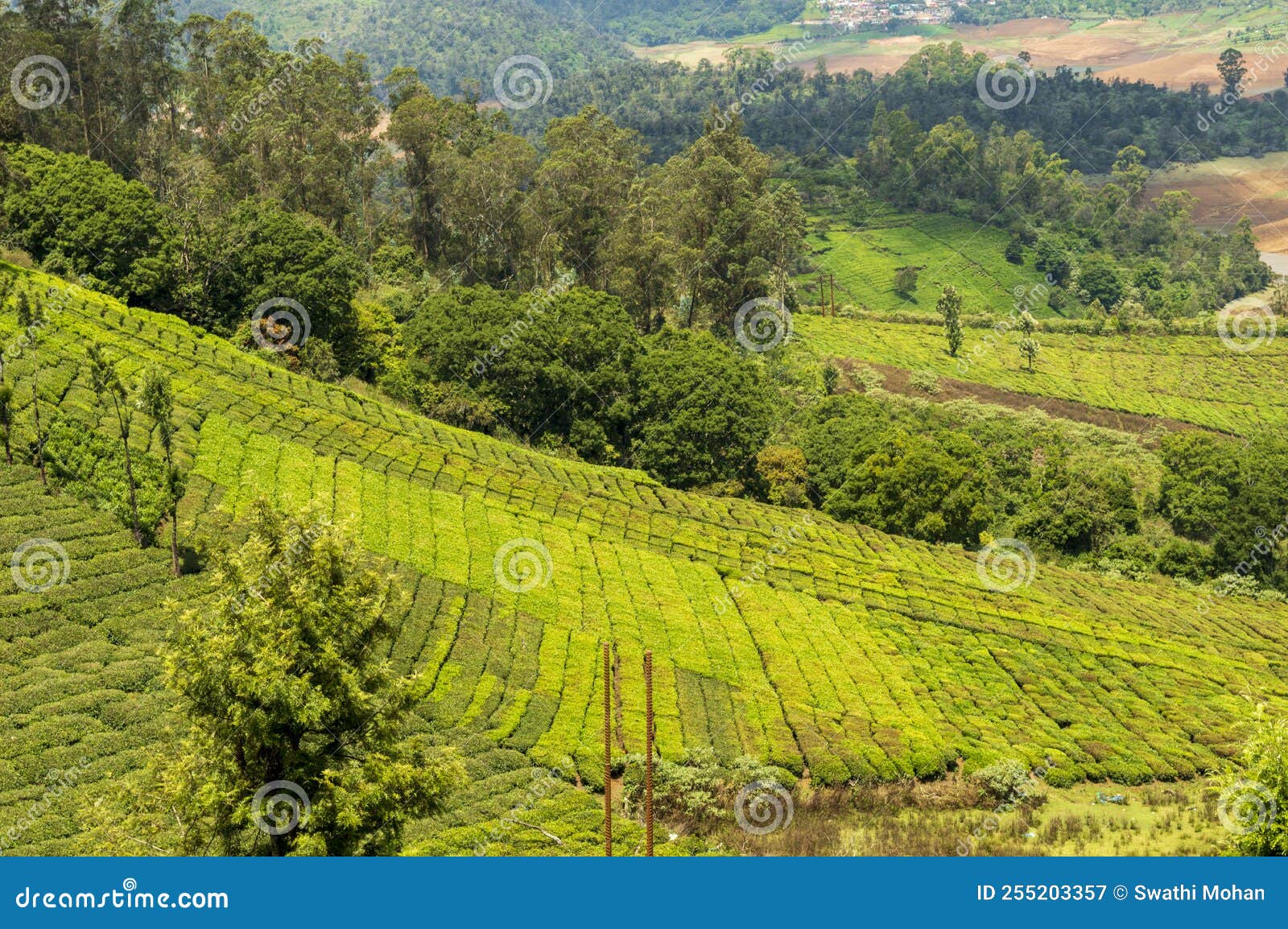 Natural Scenic Beauty of Ooty Stock Image - Image of light, mountains ...