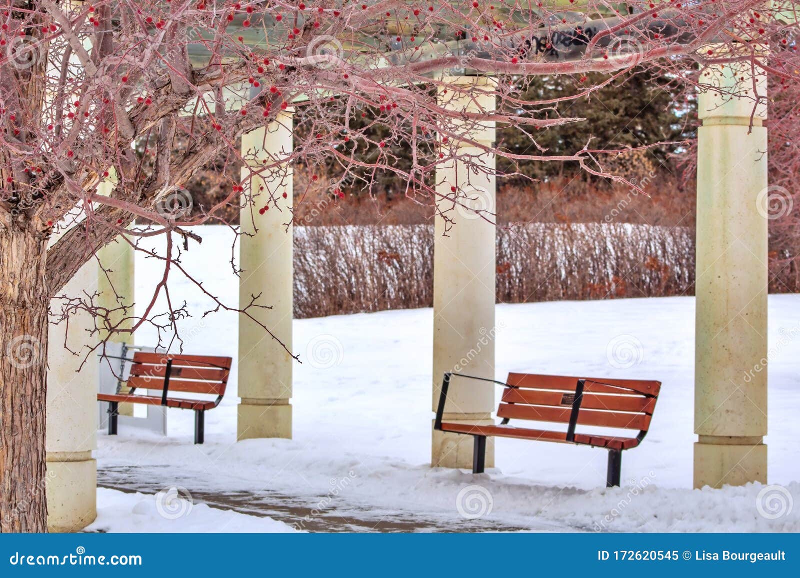 Scenic Bench Rest Area in a Calgary Park Stock Image - Image of wintry ...