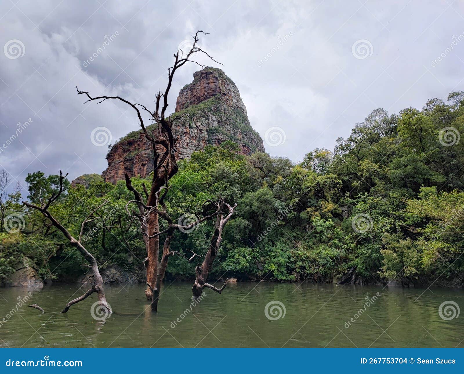Blyde River Canyon Dam Tree Stock Photos - Free & Royalty-Free Stock ...