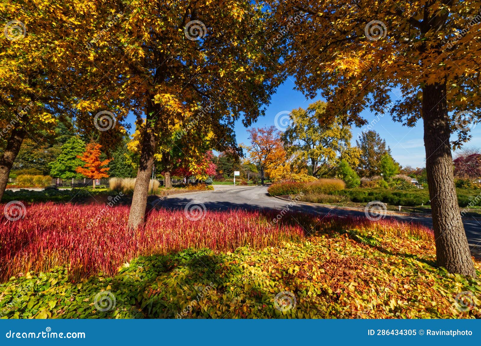 Scenic Botanical Gardens of Niagara, , Niagara Falls, on, Canada Stock ...