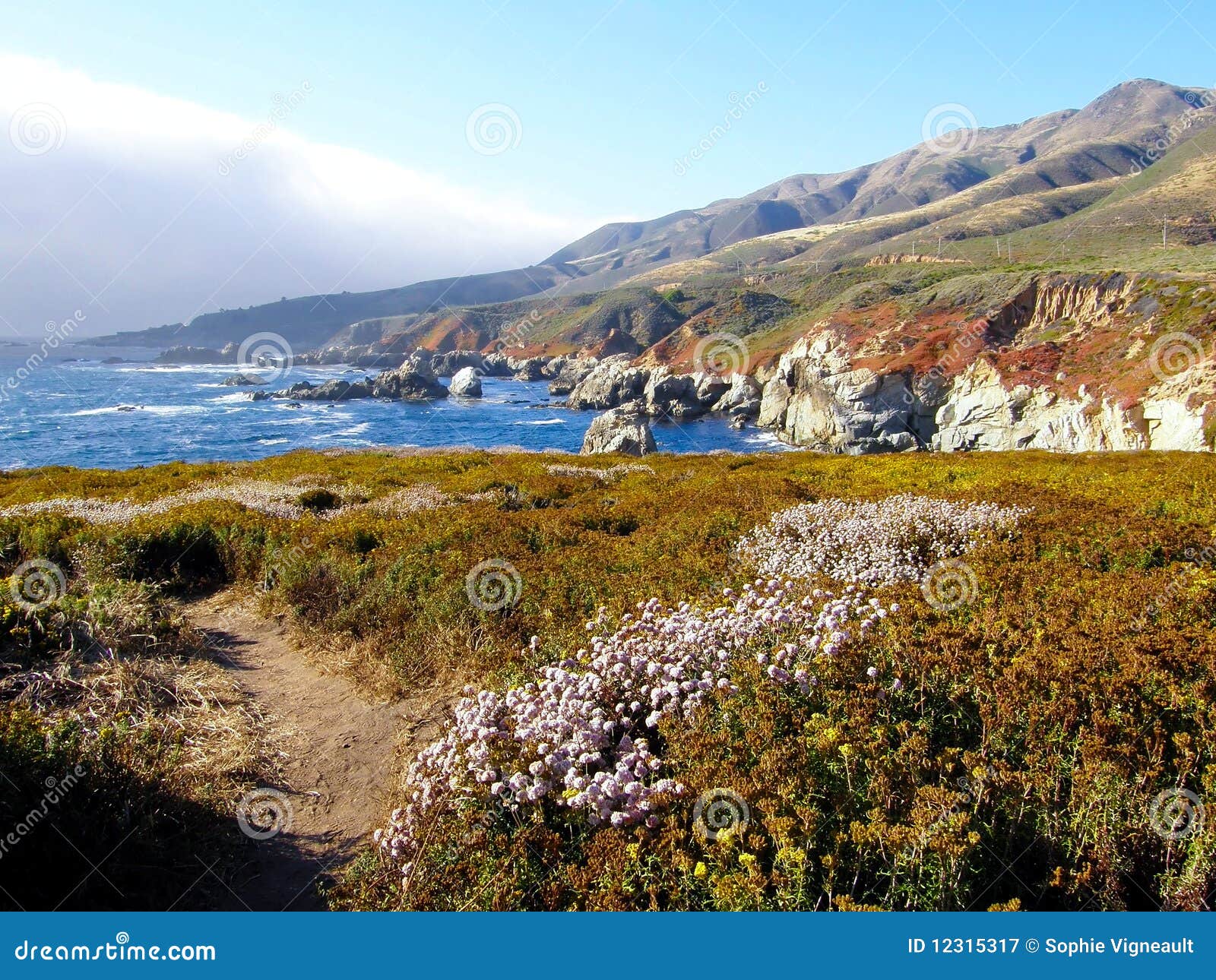 Scenic California Landscape Stock Image - Image of colorful, summertime ...