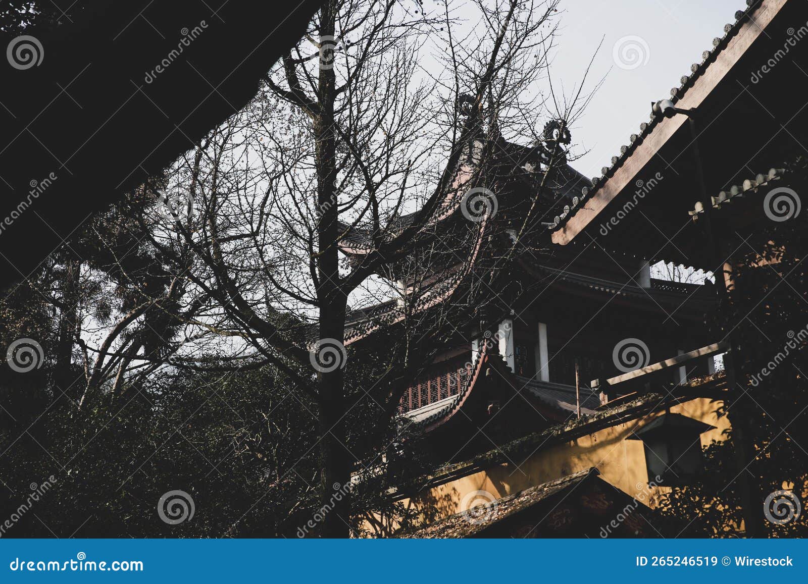 Scenic Chinese Temple Seen through Branches of a Leafless Tree Stock ...