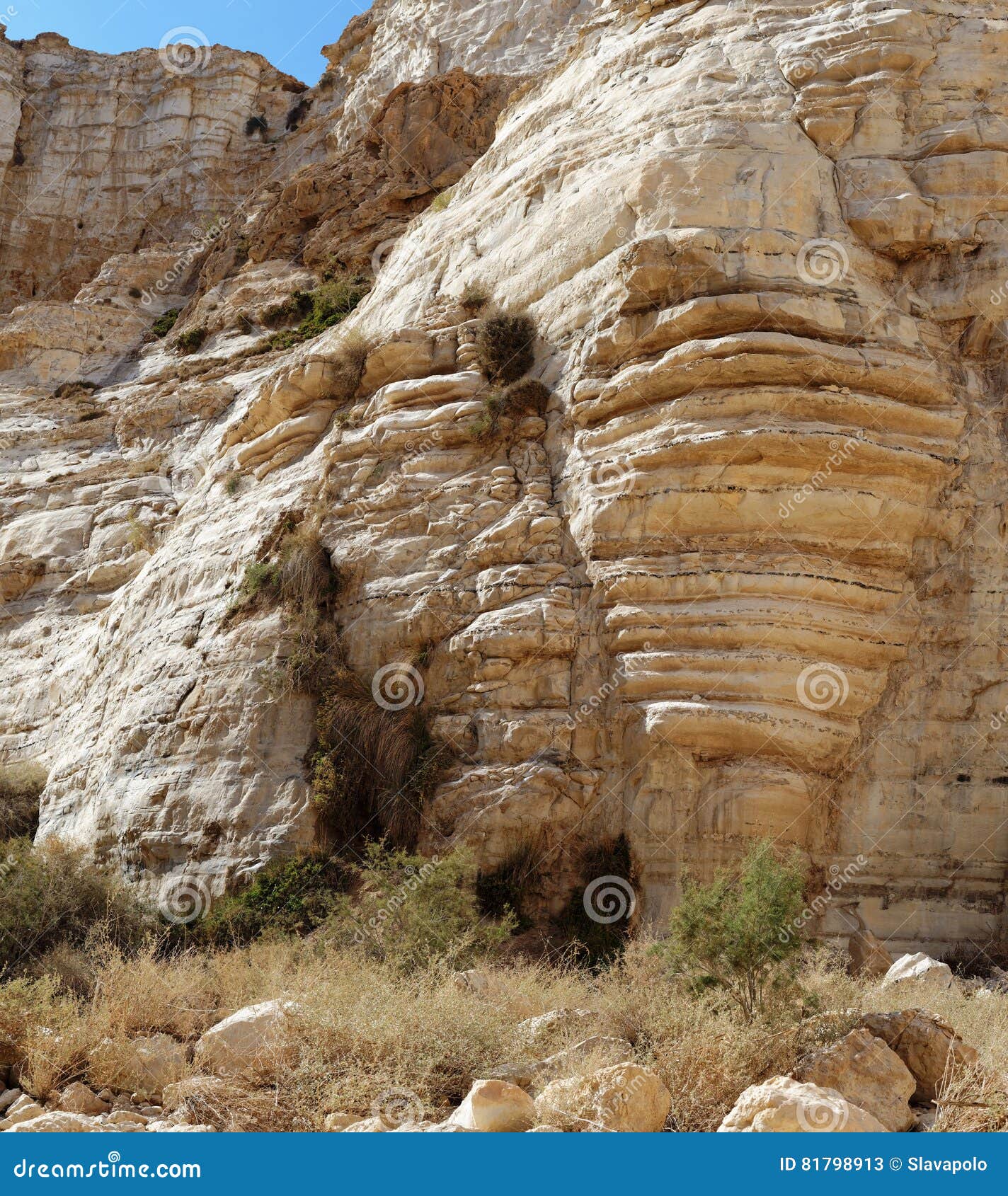 Scenic Cliffs of Ein Avdat Gorge in Israel Stock Image - Image of east ...