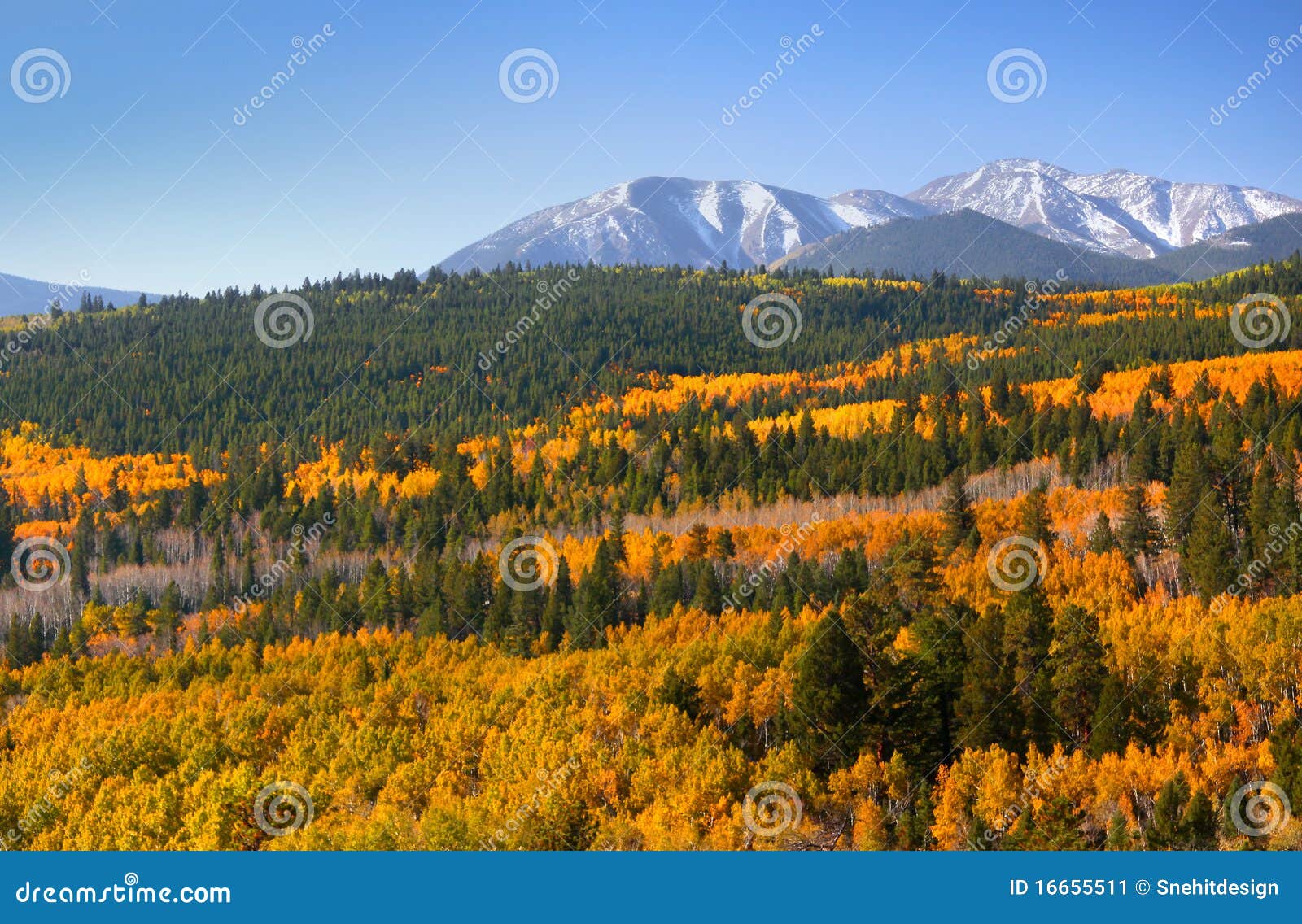 Scenic Colorado landscape stock image. Image of colorful - 16655511