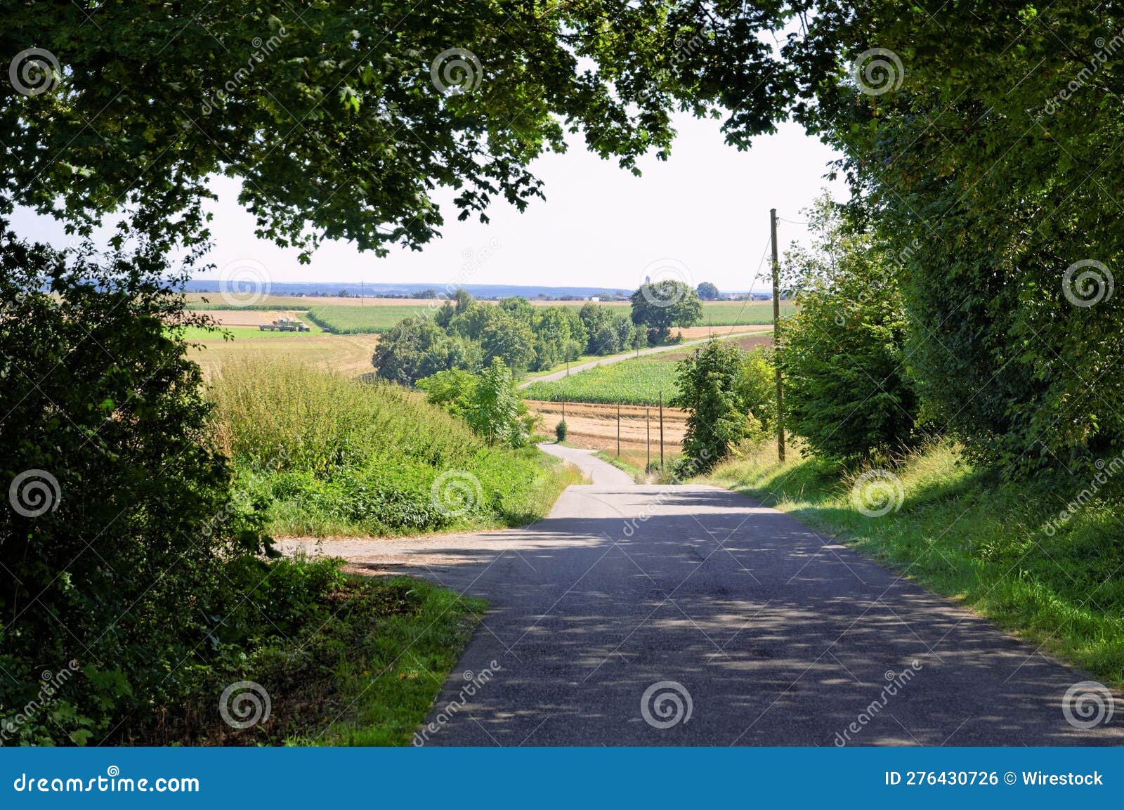 Scenic Country Road Winding through Lush Green Fields. Stock Photo ...