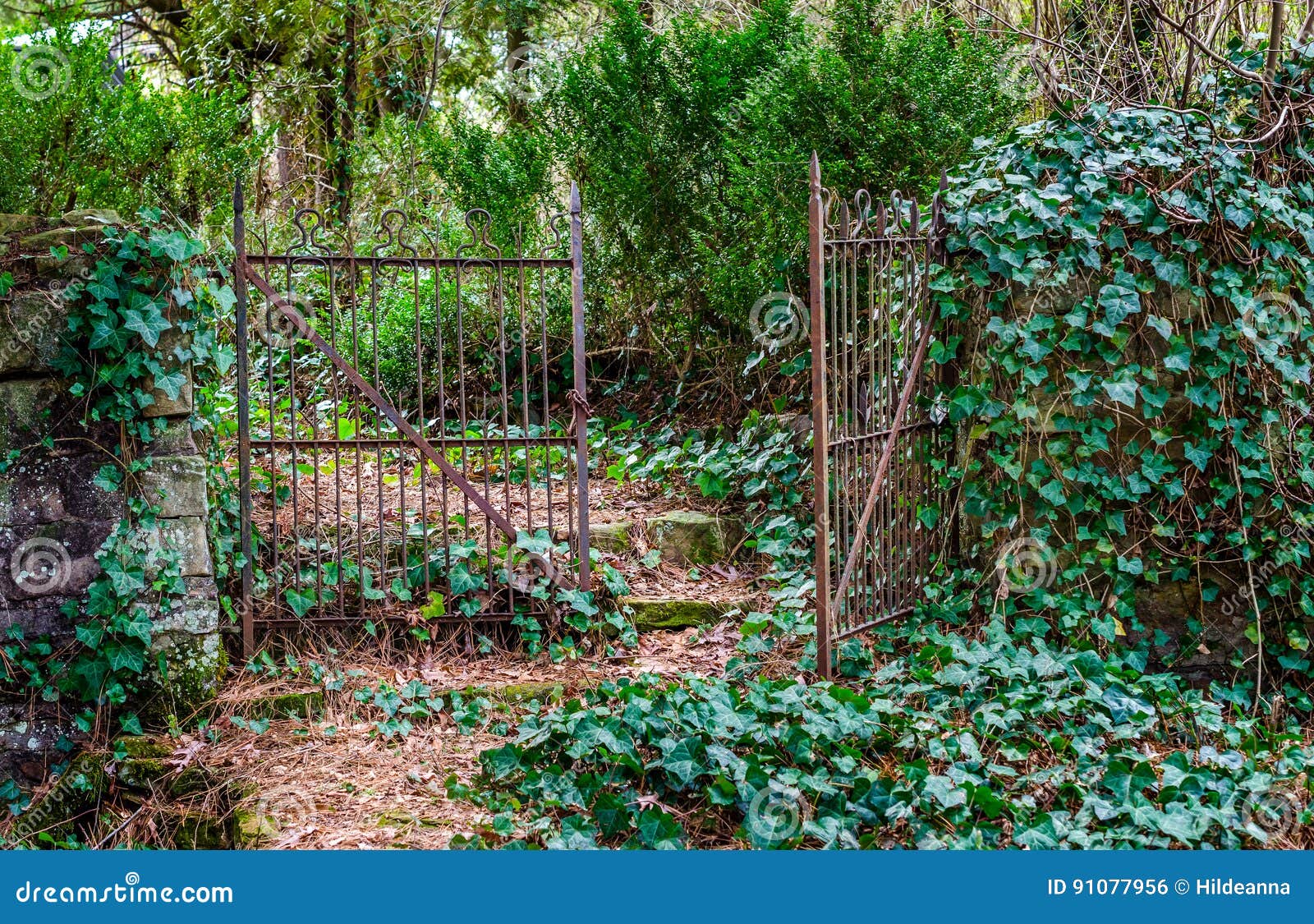 Scenic Country Setting of Rusty Iron Gate Stock Photo - Image of retro ...