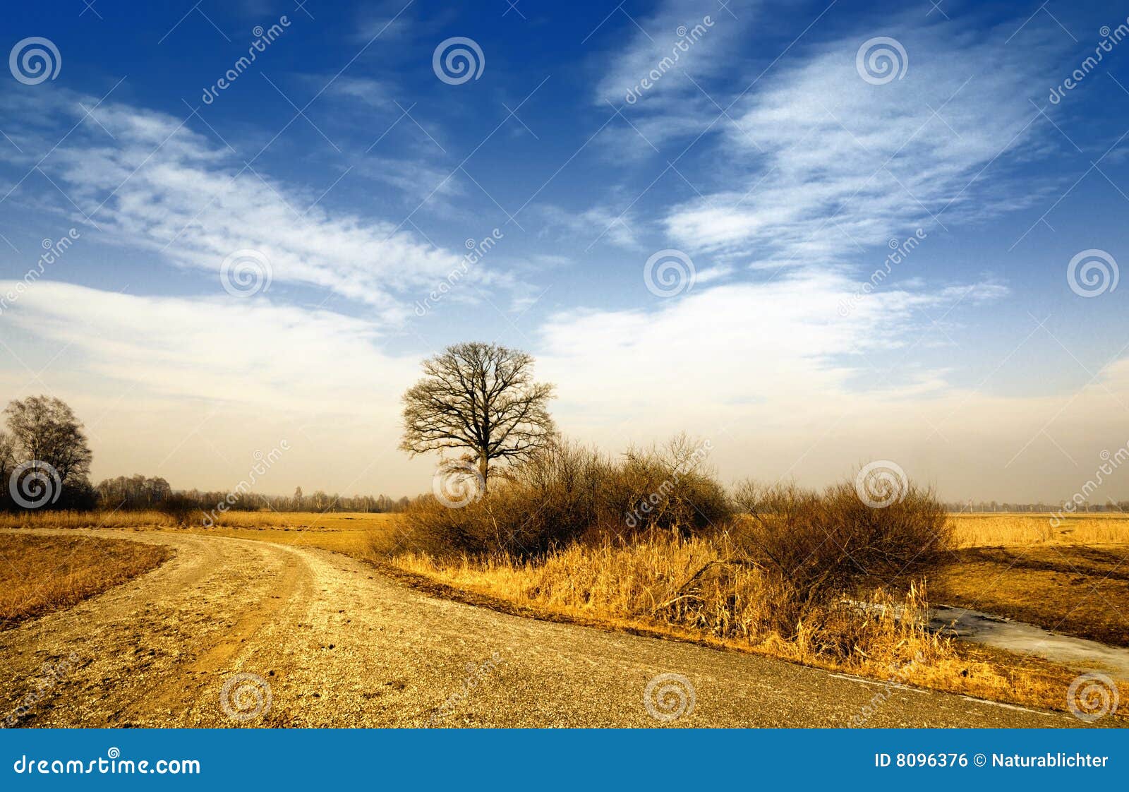 Scenic Countryside Landscape Stock Photo - Image of roadway, scenic ...