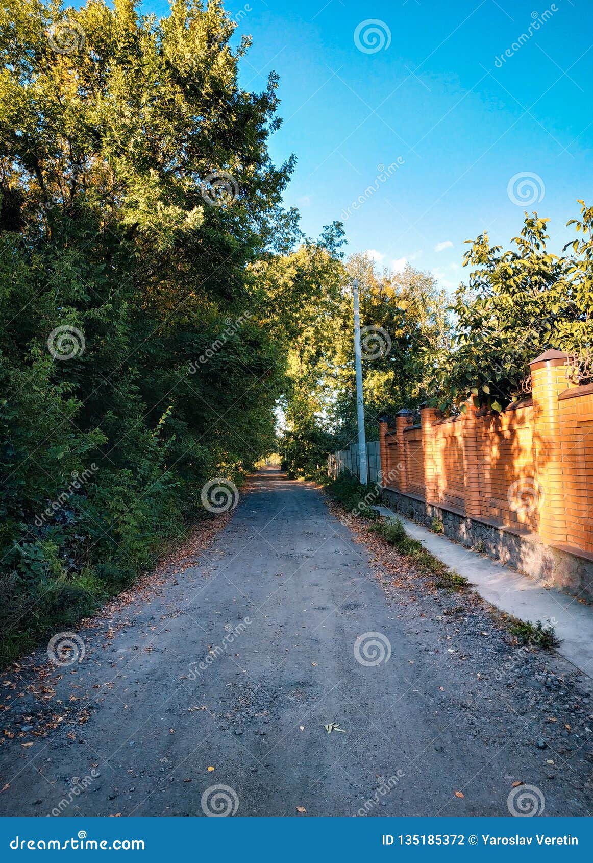 Scenic Countryside Rural Path Alley in Summer Stock Photo - Image of ...