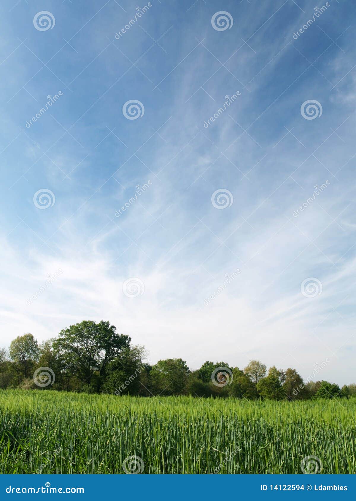 Scenic countryside scene stock photo. Image of crop, blue - 14122594