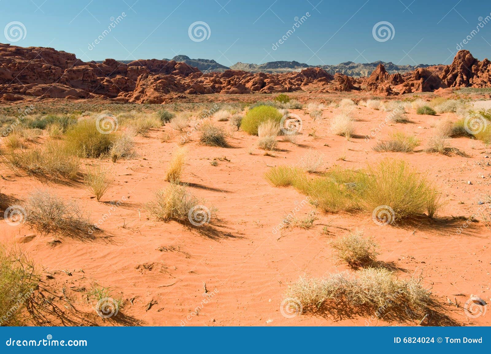 Scenic desert landscape stock photo. Image of sand, scenic - 6824024