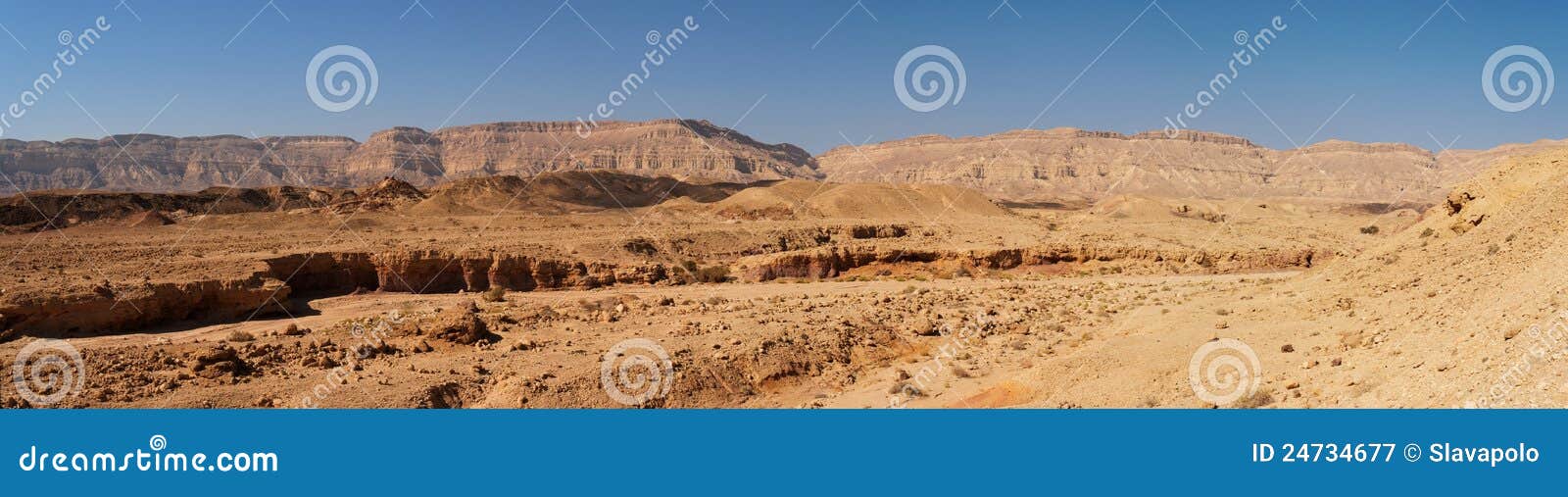 Scenic Desert Trail Stock Photography | CartoonDealer.com #9208922