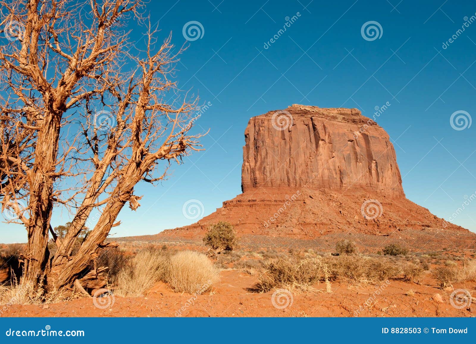Scenic desert plateau stock image. Image of cliff, formation - 8828503