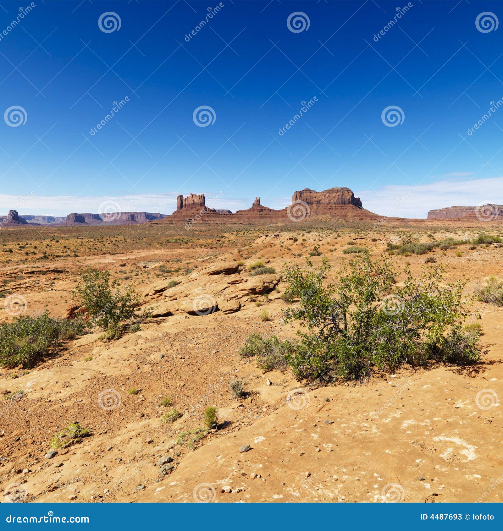 Scenic desert scene. stock image. Image of america, copy - 4487693