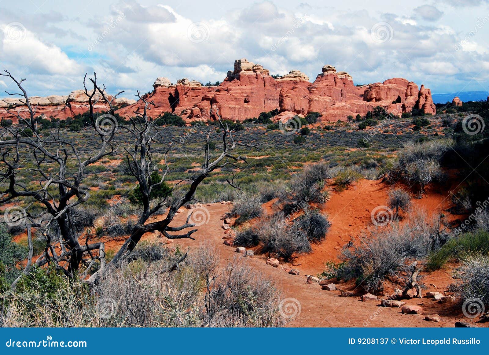 Scenic Desert Trail stock image. Image of blue, cliff - 9208137