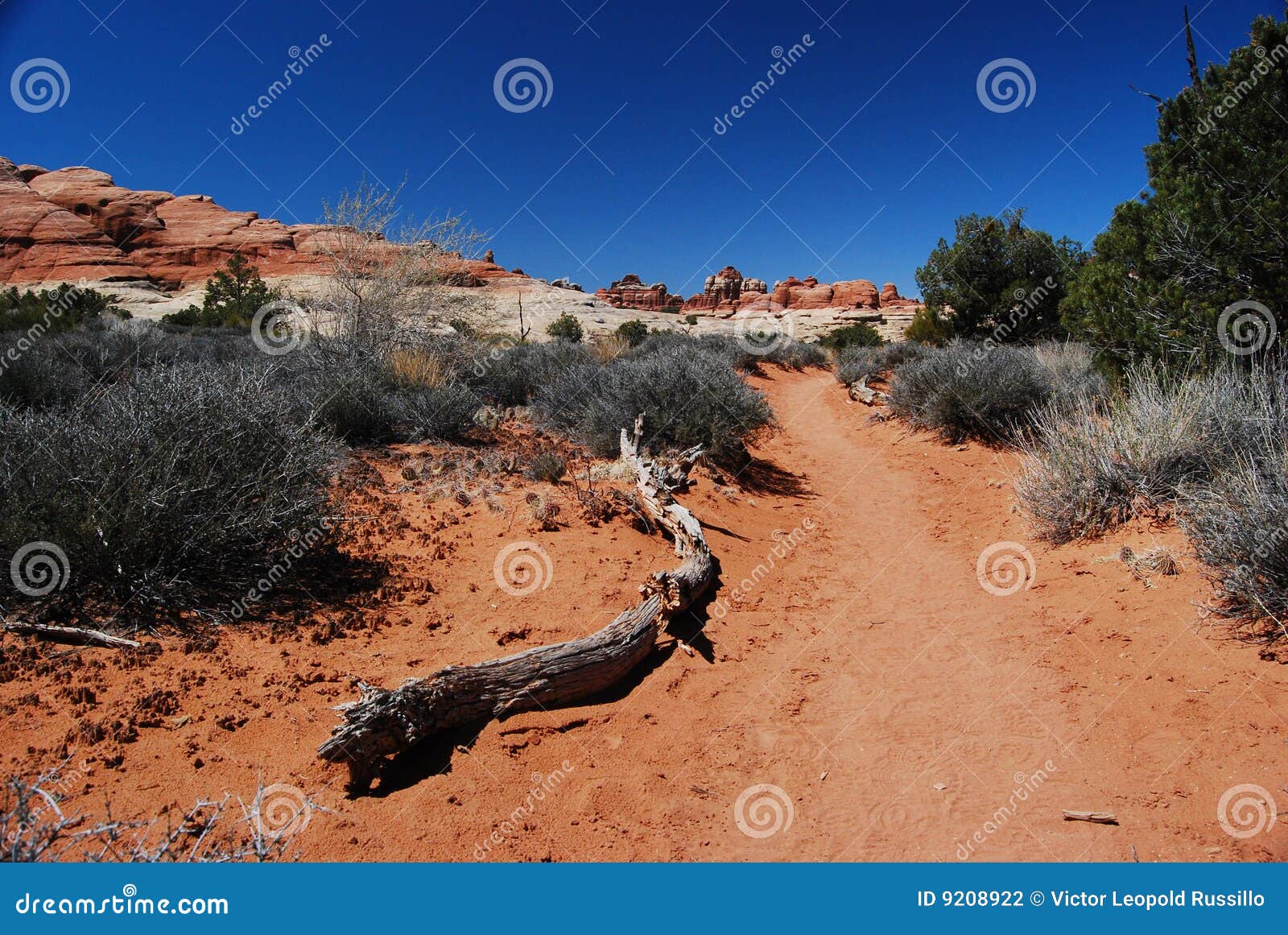 Scenic Desert Trail stock photo. Image of canyon, cliff - 9208922