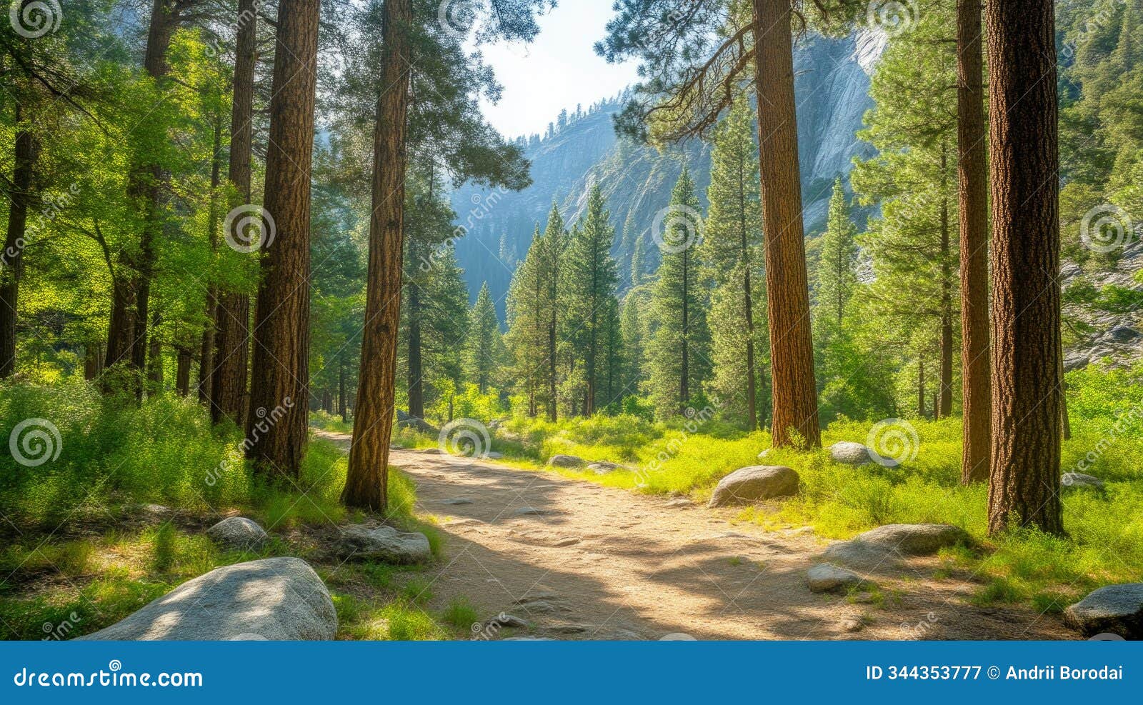 Scenic Drive through Yosemites Majestic Forests. Stock Illustration ...