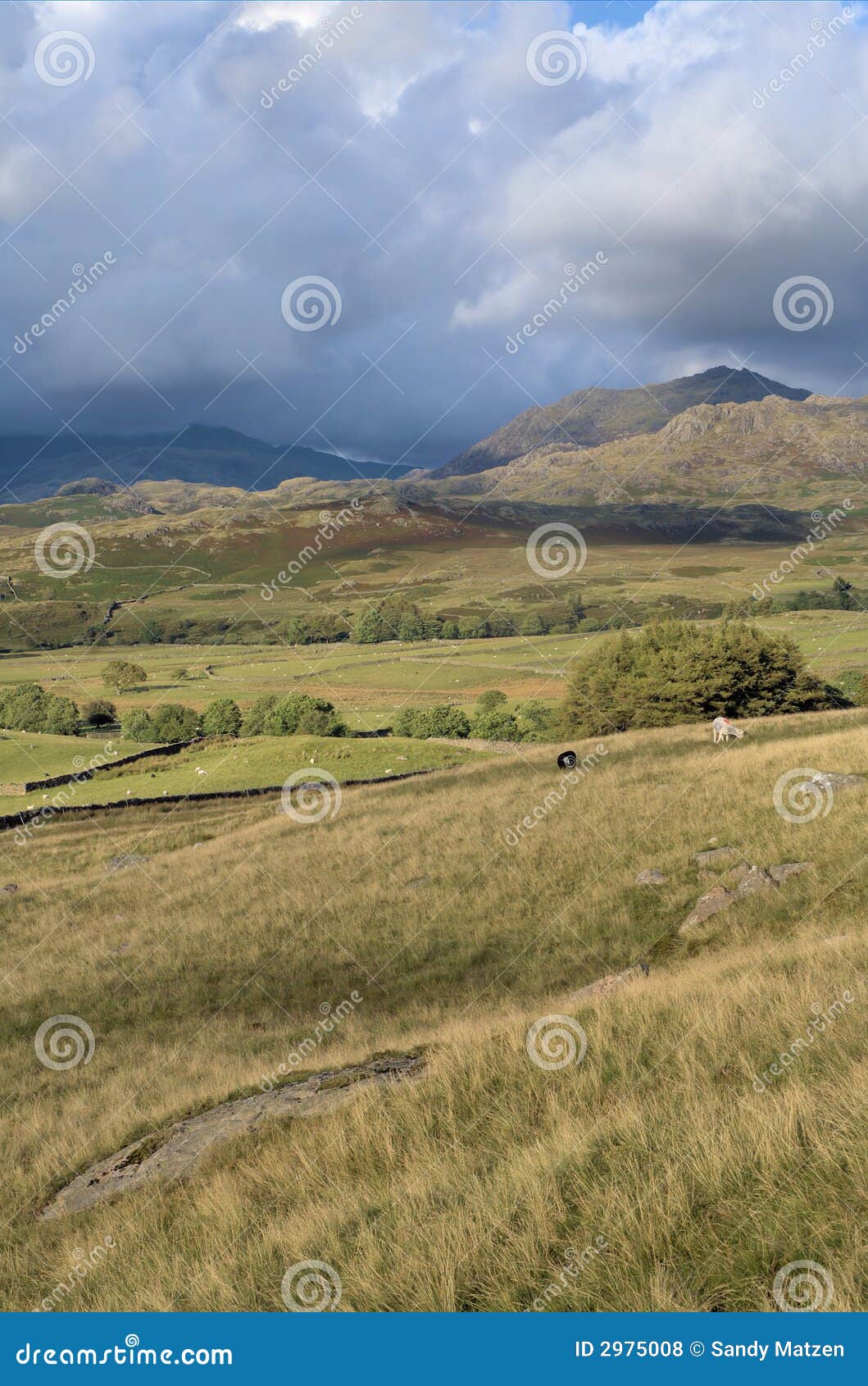 Scenic English hillside stock photo. Image of overlooking - 2975008
