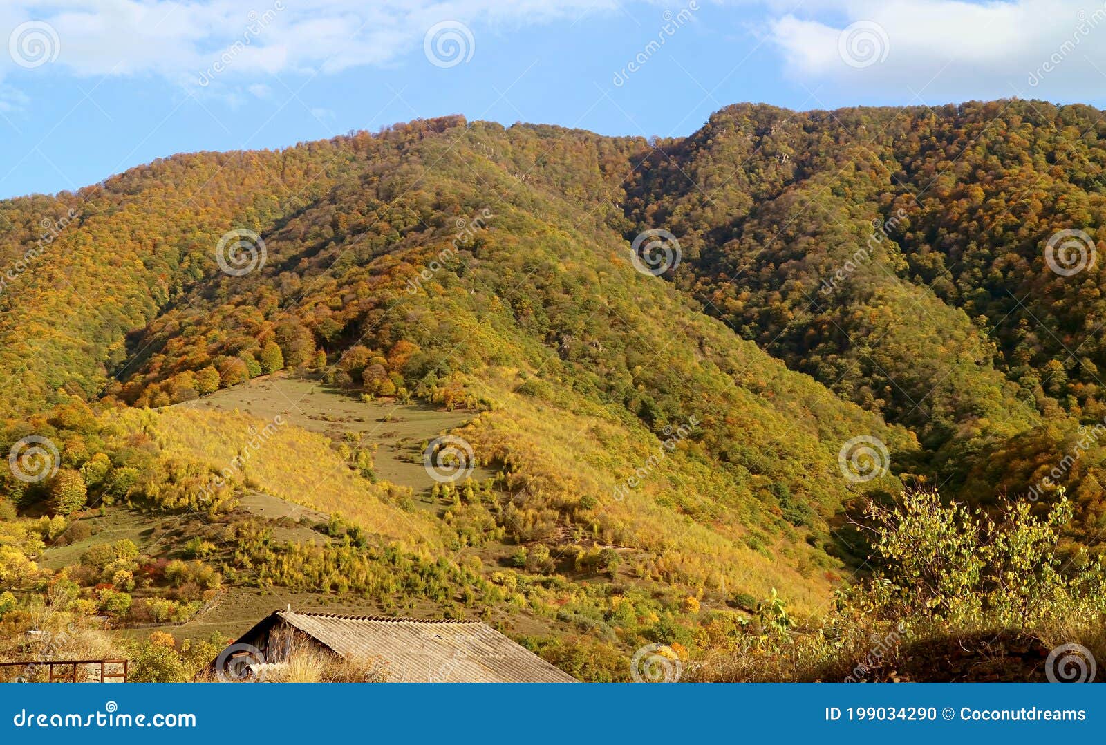 Scenic Fall Foliage on the Mountainside with Sunny Blue Sky Stock Photo ...