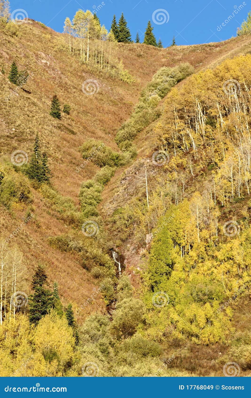 Scenic Fall Mountainside stock image. Image of golden - 17768049